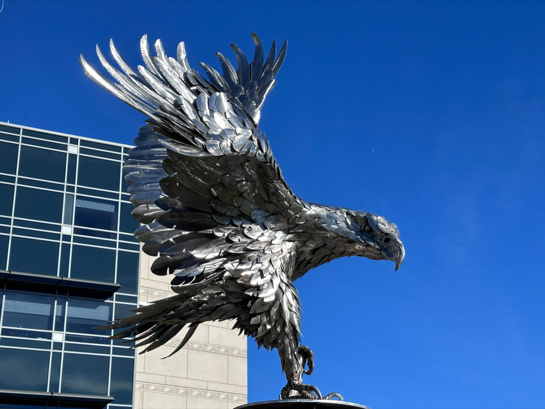 Tribute to veterans dedicated at UPMC Susquehanna | News, Sports, Jobs ...